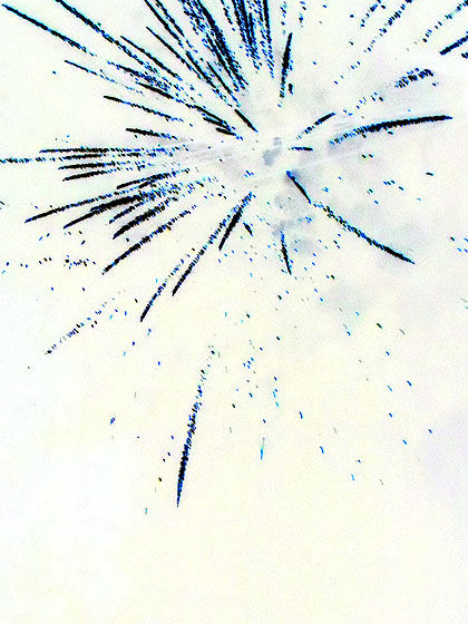 spark inspire – WALKING ON THIN ICE